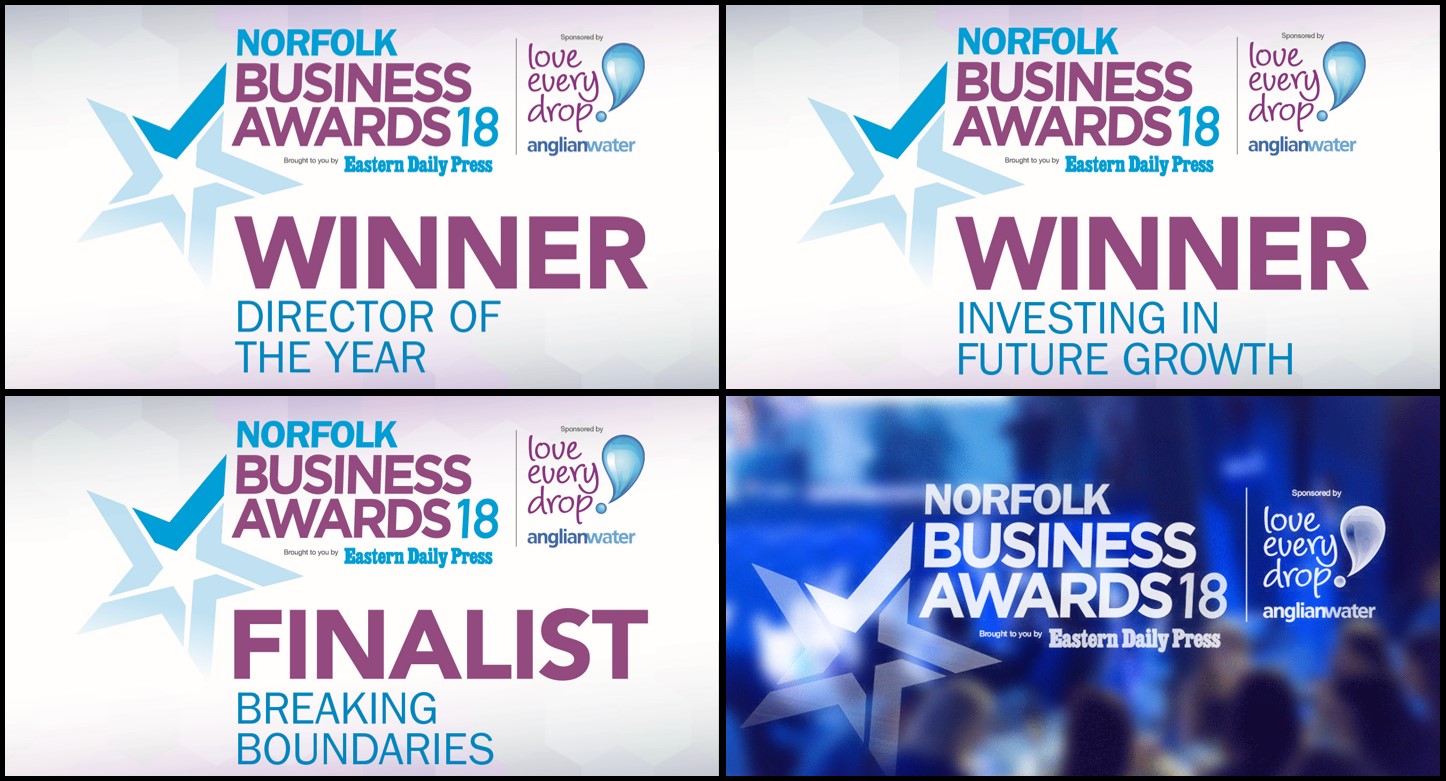 Norfolk Business Awards 2018 - Panel Graphic